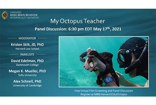 My Octopus Teacher Panel Discussion - Harvard Law School - ALPP